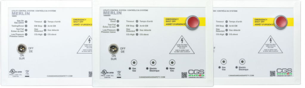Home - Landing Page - CGS | Canadian Gas Safety Inc | Utility ...